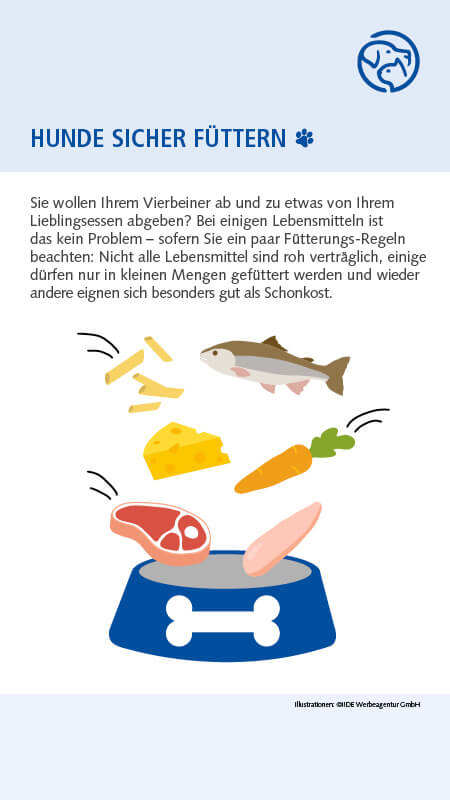 Gesund Und Bekömmlich Dürfen Hunde Bananen Essen Agila