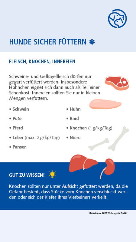 Gesund Und Bekömmlich Dürfen Hunde Bananen Essen Agila