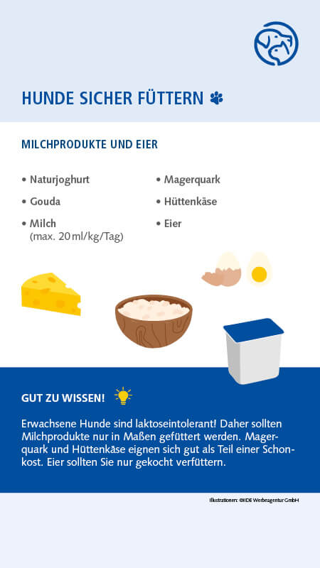 Gesund Und Bekömmlich Dürfen Hunde Bananen Essen Agila