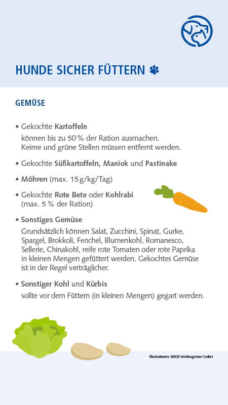 Gesund Und Bekömmlich Dürfen Hunde Bananen Essen Agila
