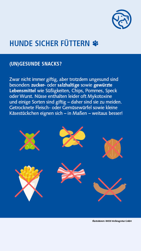 Gesund Und Bekömmlich Dürfen Hunde Bananen Essen Agila