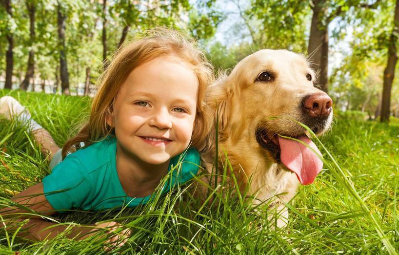 Hund und Kind: So klappt das Zusammenleben – AGILA