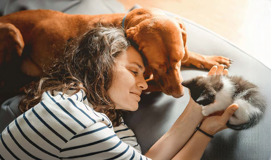 Online-Antrag für Hund & Katze, jetzt günstig – AGILA